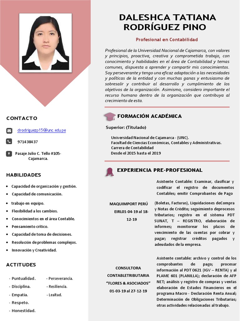 Curriculum Vitae Documentado - Rodríguez Pino | PDF | Contabilidad | Negocios económicos