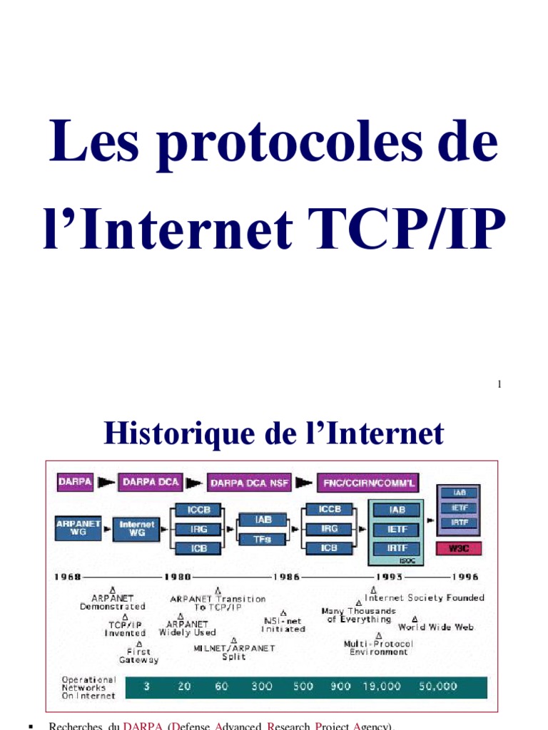 Les Protocoles de L'internet TCP-IP | PDF