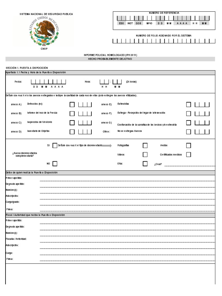 IPH DELITOS Nuevo Formato 2020 | PDF | Armas de fuego | Revista (armas de fuego)