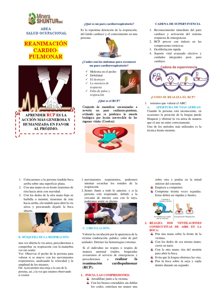 Triptico Reanimacion Cardio Pulmonar | PDF | Reanimación cardiopulmonar | Paro cardíaco