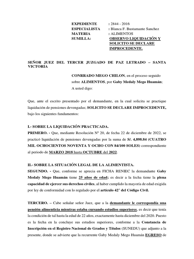 Obserbo Liquidación y Solicito Se Declare Improcedente | PDF