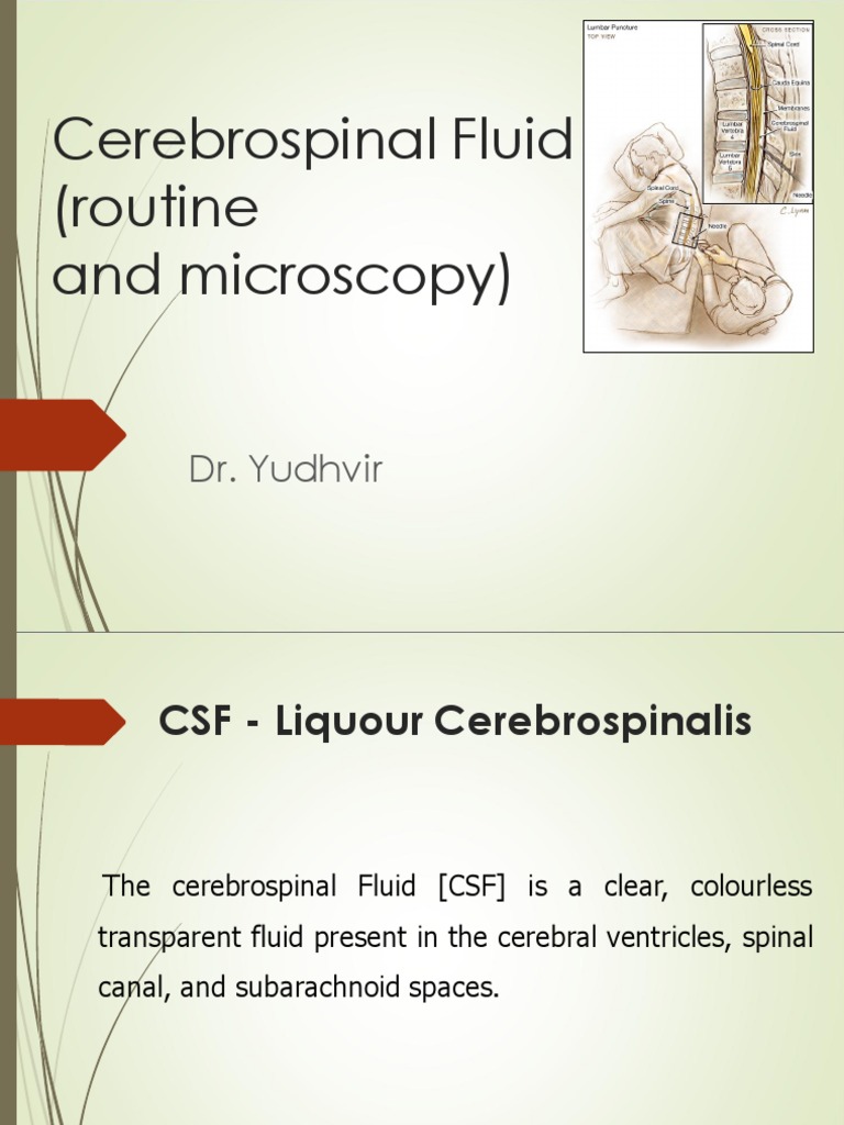 CSF Lecture | PDF | Cerebrospinal Fluid | Diseases And Disorders