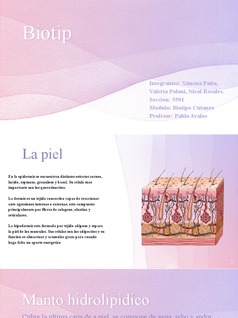Biotipo Cutaneo | PDF | Piel | Epidermis