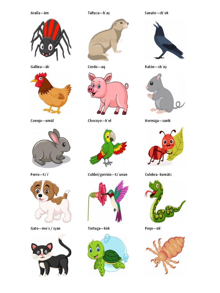 Animales en Kaqchikel-Ri Taq Chikopi | PDF