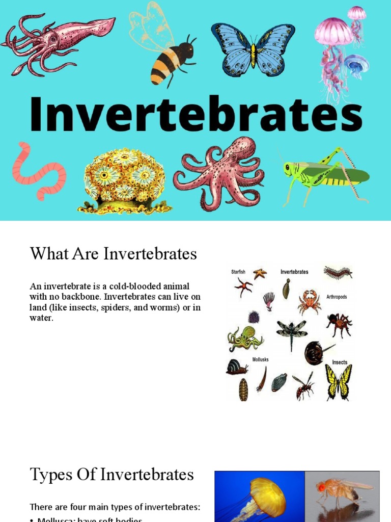 Biology Presentation 2022 | PDF