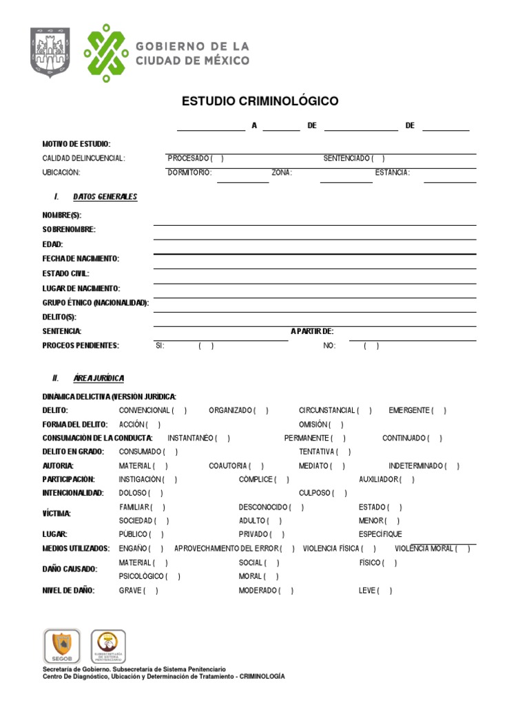 Formato CDMX Criminología 2019 | PDF