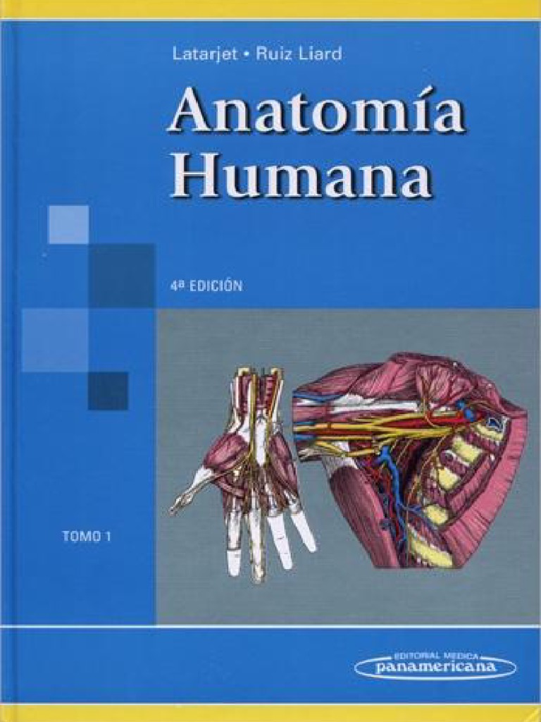 Latarjet & Ruiz Liard - Anatomia Humana Tomo L - 4° Edición | PDF
