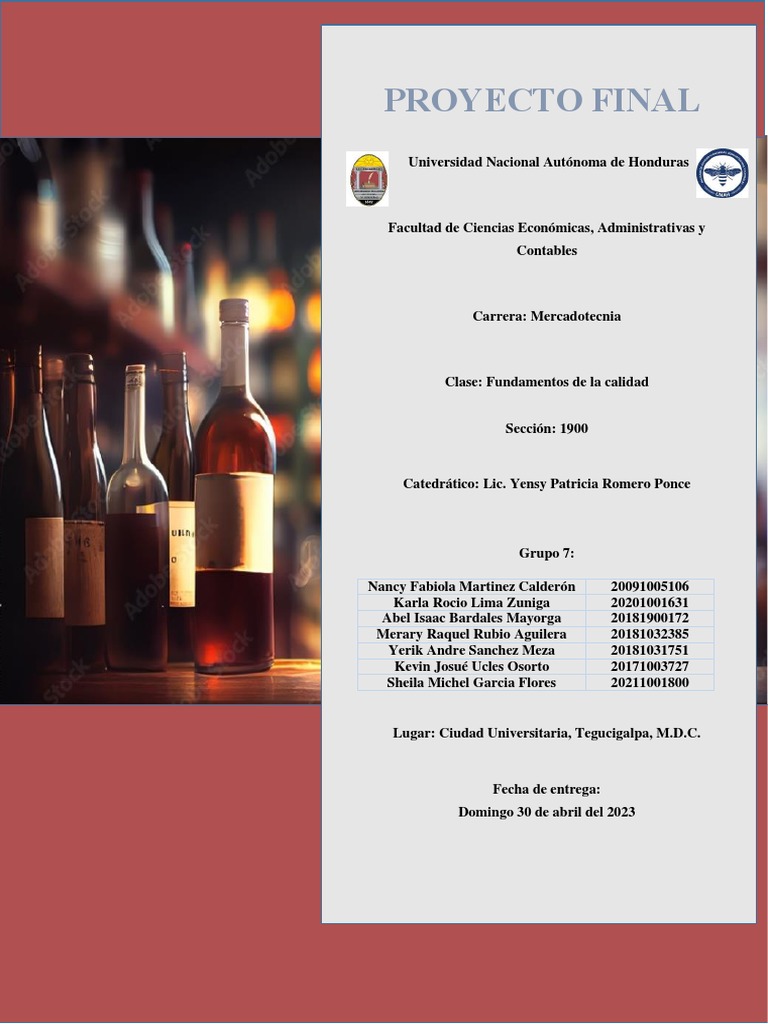 Proyecto Final Grupo 4 | PDF | Marketing | Calidad (comercial)