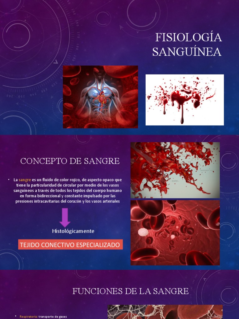 Fisiología Sanguínea Reducido Alumnos | PDF | Sistema inmune | Linfocitos