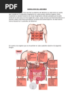 Maniobra de Mathieu en Exploración Abdominal | PDF | Abdomen | Bazo