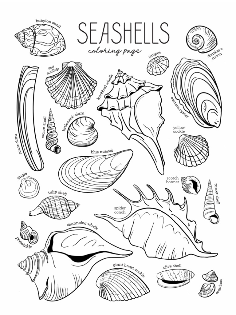Freebie Coloring Page Pack Ixbgbs | PDF