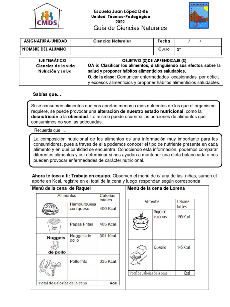 Guia Clase 4 Ciencias Naturales | PDF