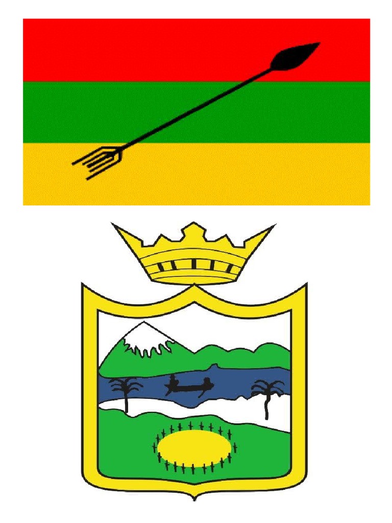 Bandera y Escudo de Neiva | PDF