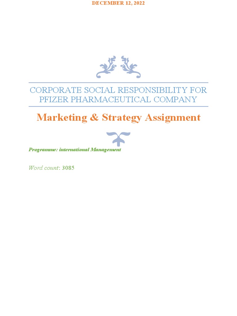 CSR Assignment Writeup | PDF | Corporate Social Responsibility | Malaria