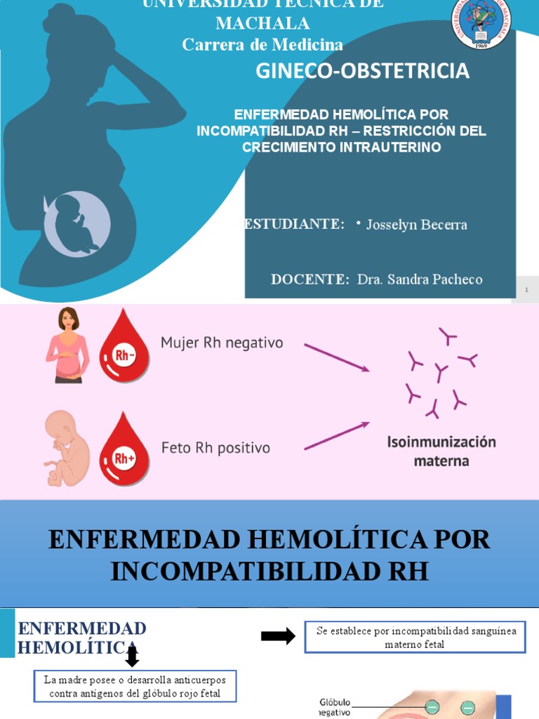 Enfermedad Hemolítica por Incompatibilidad Rh | PDF | Feto | Medicina