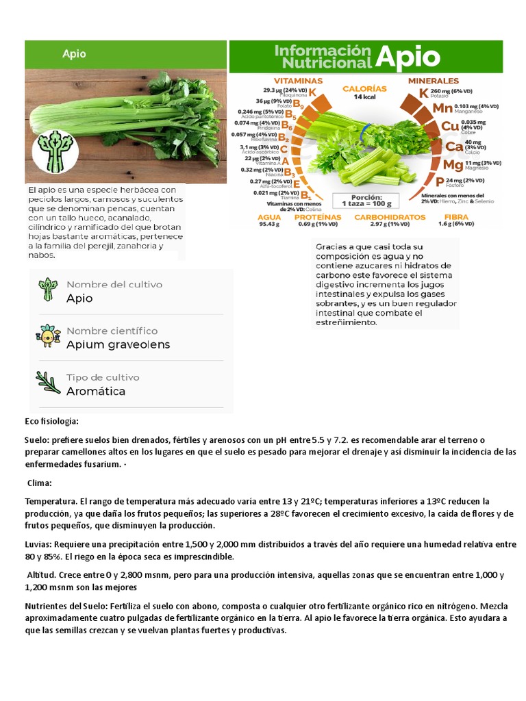 Apio | PDF | Fertilizante | Suelo