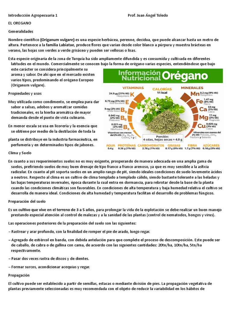 Ficha Tecnica Del Oregano | PDF | Orégano | Agricultura