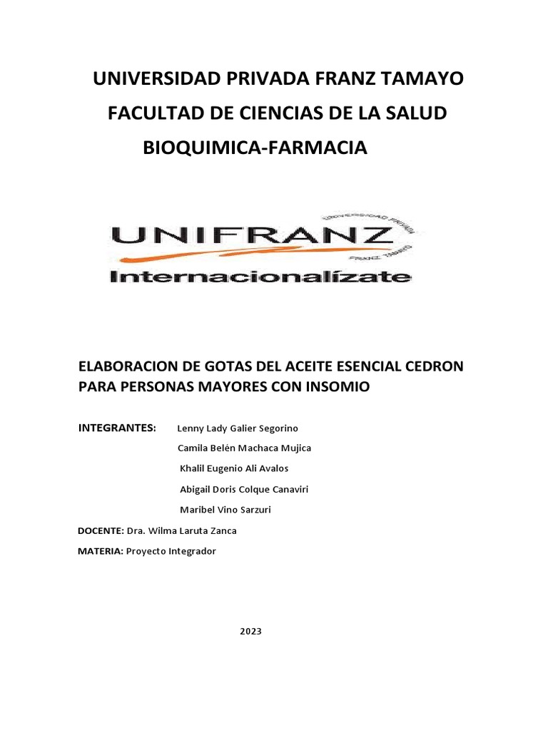 Proyecto Cedron | PDF