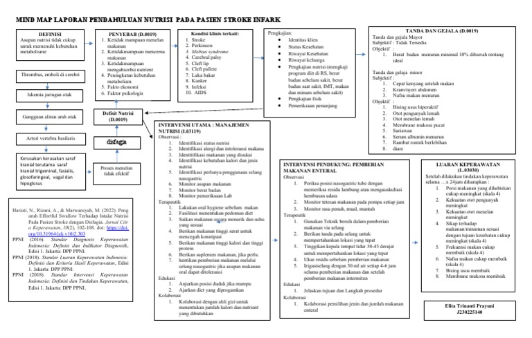 Mind Mapping Defisit Nutrisi - Elita Trinanti Prayuni - J230225140 | PDF