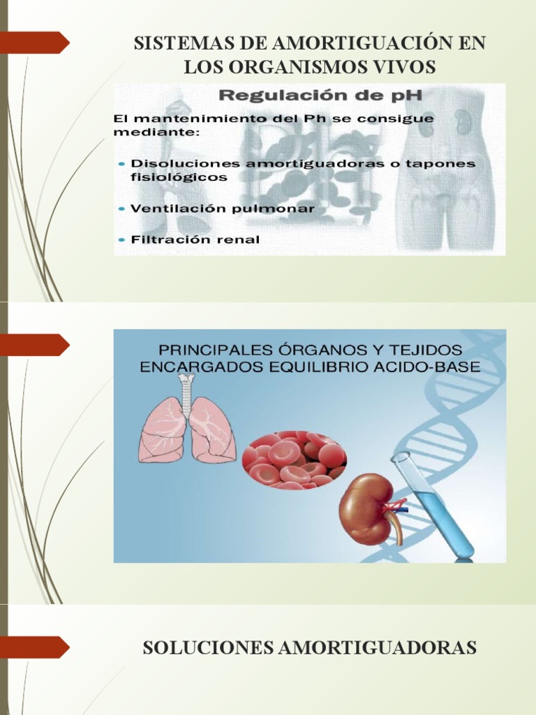 Soluciones Amortiguadoras | PDF | Solución tampón | Ph