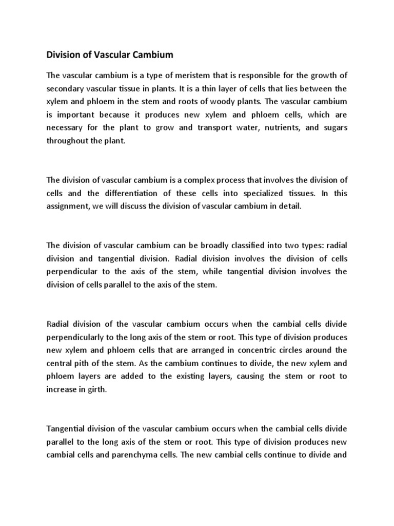 Division of Vascular Cambium | Download Free PDF | Plant Stem | Tissue ...