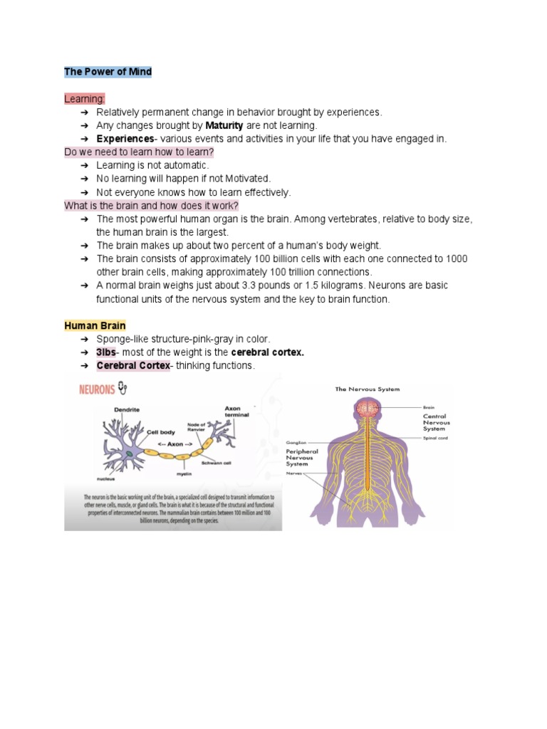 The Power of Mind Notes | PDF | Cerebrum | Brain