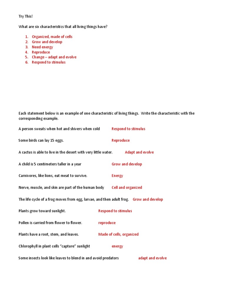 KEY To Practice | PDF