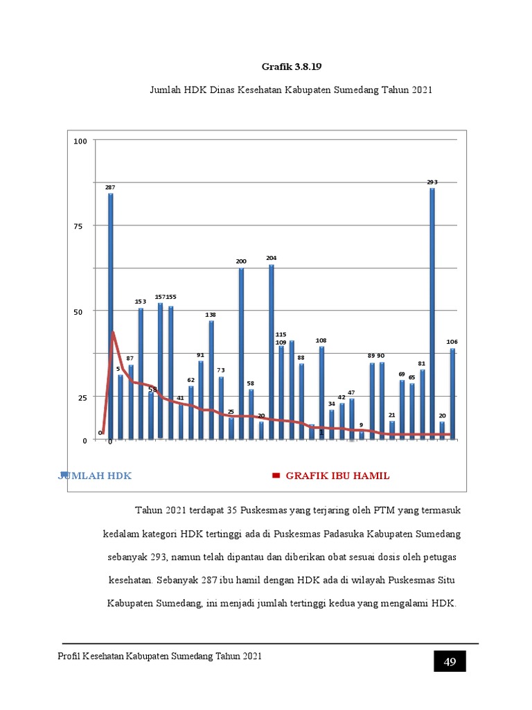 Data HDK Dinkes | PDF