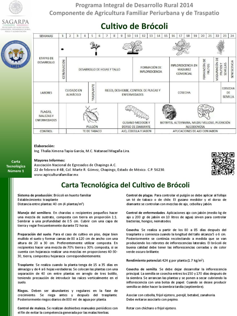 Programa Integral de Desarrollo Rural 20 | PDF | Agricultura | Compost