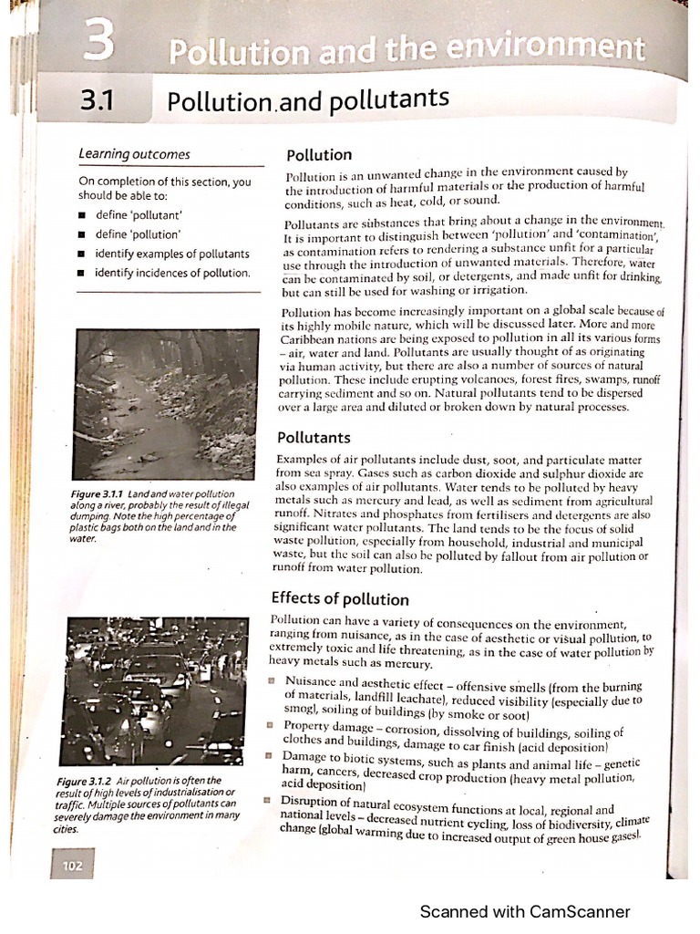 Module 3 Pollution Study Guide | PDF