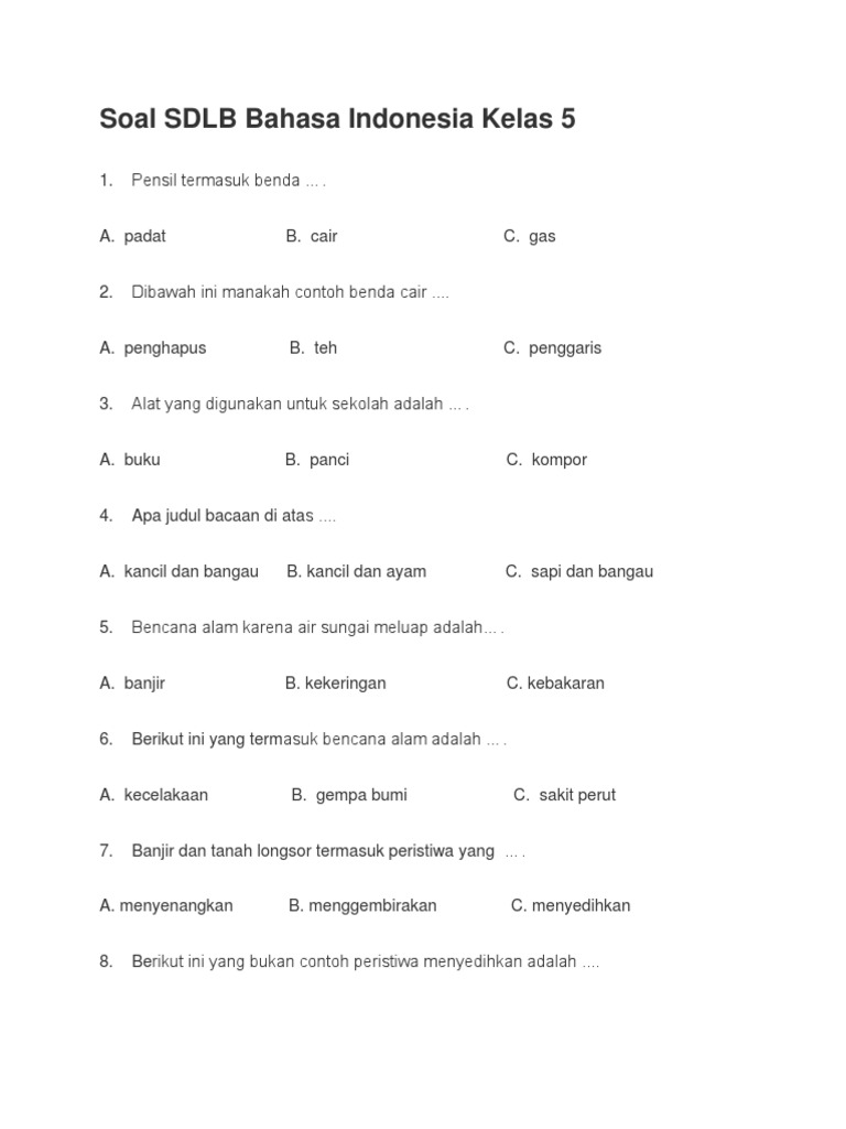 Soal SDLB Bahasa Indonesia Kelas 5 | PDF