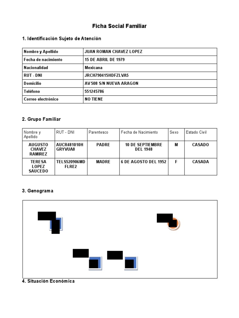 Modelo de Ficha Social Familiar | PDF