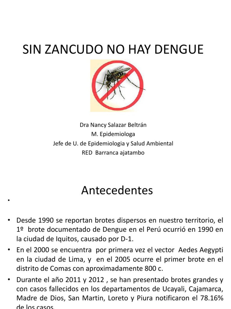 Presentacion Dengue 2023 | PDF | Mosquito | Aedes aegypti