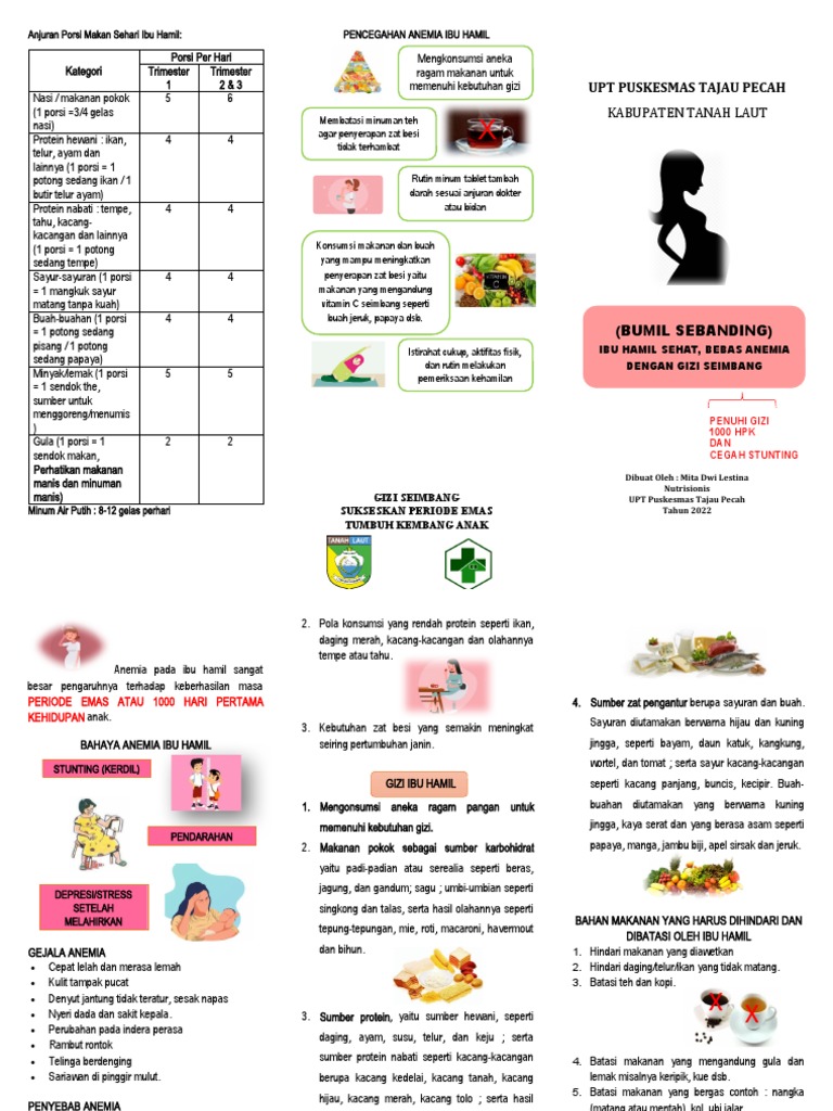 Leaflet Anemia 1 | PDF