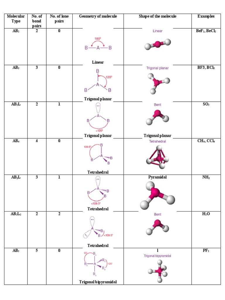 Molecular Type | PDF