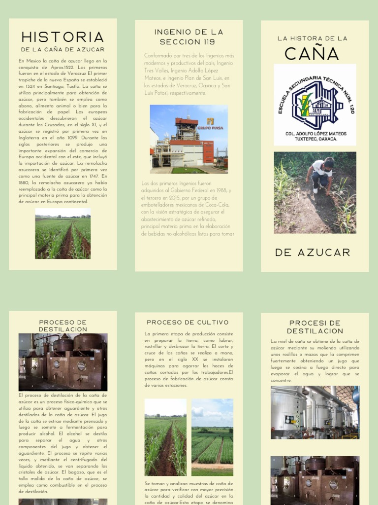 Folleto Tríptico Turismo en La Ciudad de México Simple Verde | PDF Folleto Tríptico Turismo en La Ciudad de México Simple Verde | PDF