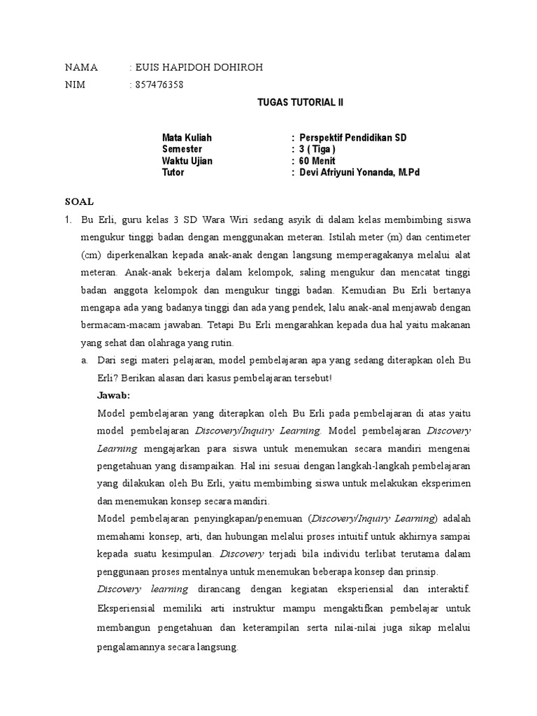 TT2 Perspektif Pendidikan SD (Euis Hapidoh - 867476358) | PDF