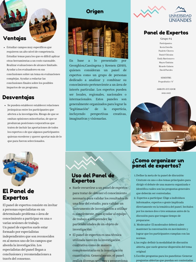 Guía para Organizar un Panel de Expertos | PDF | Cognición