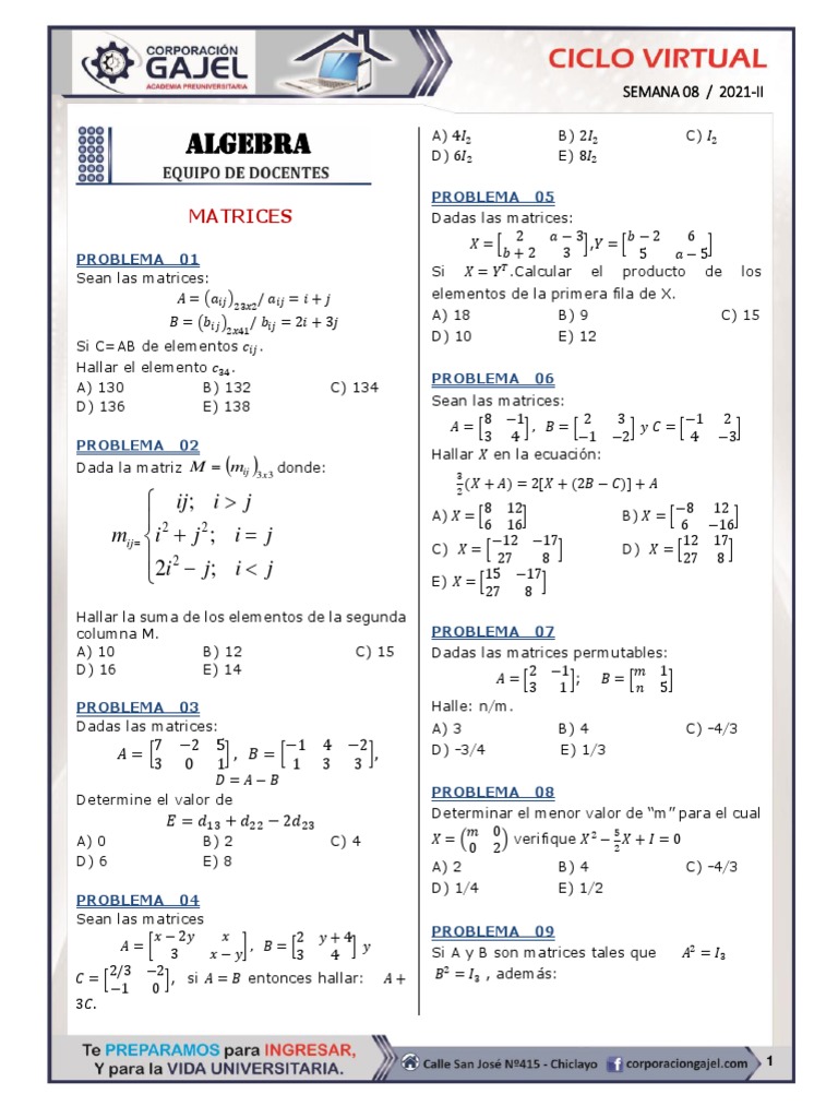 Problemas de Matrices y Álgebra Lineal | PDF | Matriz (Matemáticas ...