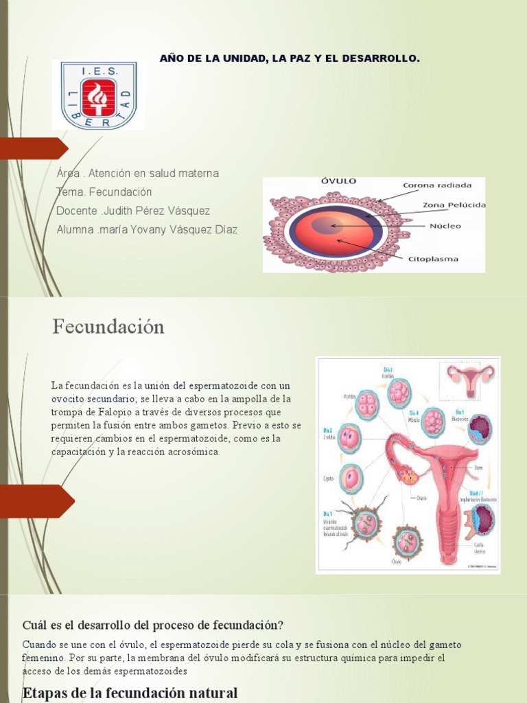 FECUNDACION | PDF | Gemelo | Embrión