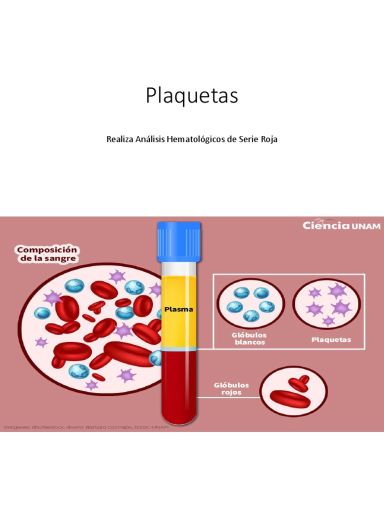 Plaquetas | PDF | Plaqueta | Sangre