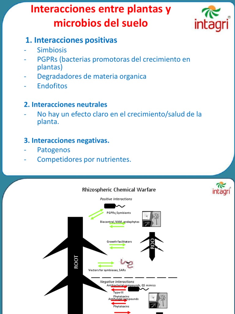 02.interaccion Suelo-Planta-Microorganismos | PDF