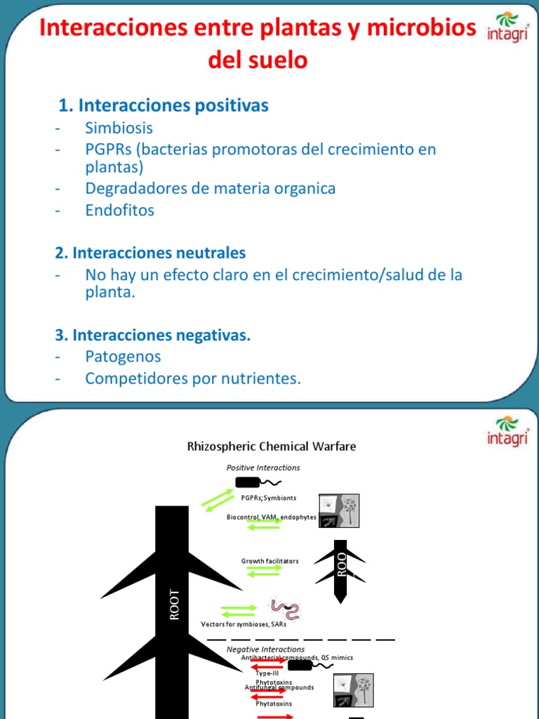 Interacciones Planta-Microbio en Suelo | PDF | Biodiversidad | Biogeoquímica