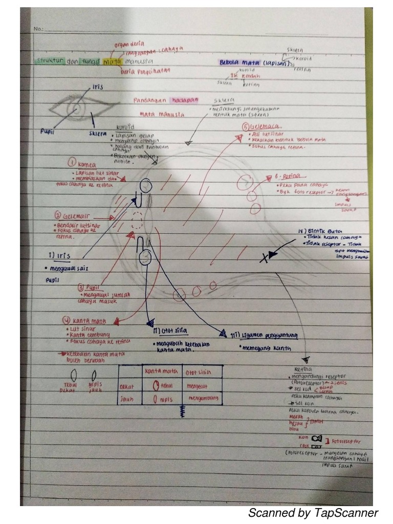 Nota Sains Mata Tingkatan 3 Pdf