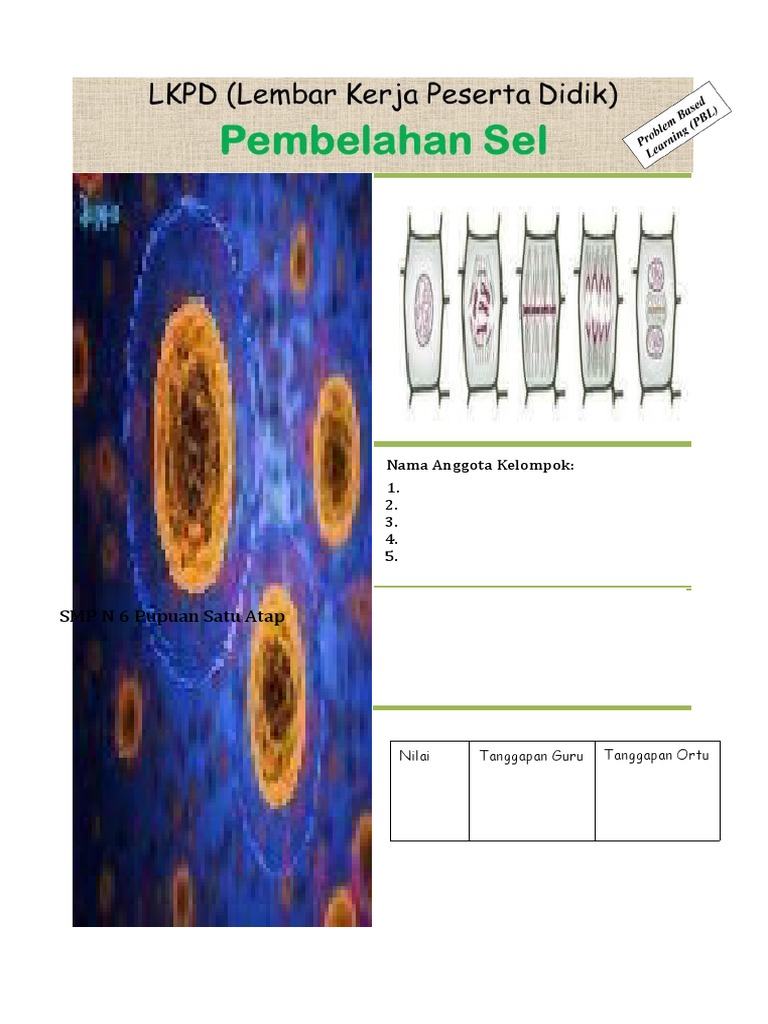 Lkpd 2, Pembelahan Sel | PDF