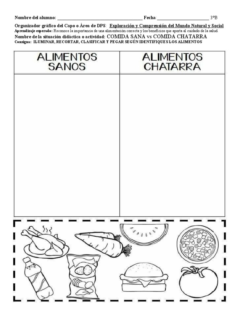 Organizador Gráfico: Comida Sana vs Chatarra | PDF