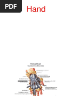 The Muscles of the Hand - Thenar - Hypothenar - TeachMeAnatomy | PDF ...