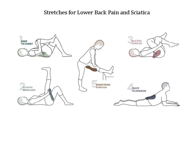 Stretches For Lower Back Pain and Sciatica | PDF