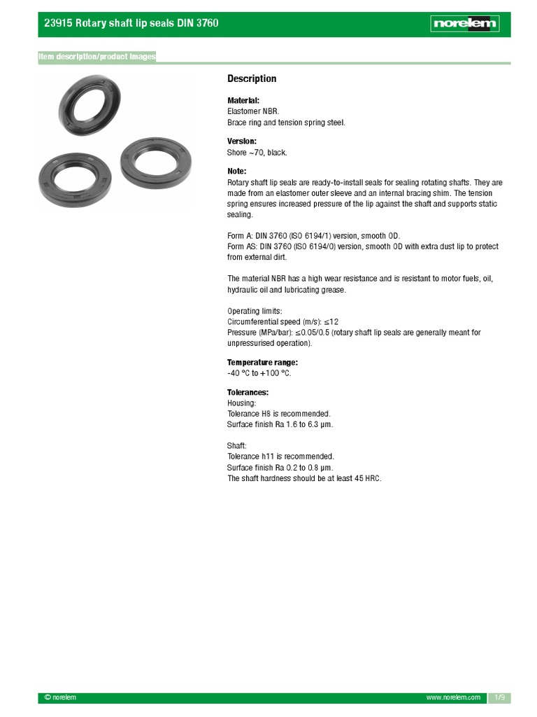 Datasheet 19892 Rotary Shaft Lip Seals DIN 3760 - en | PDF | Applied And Interdisciplinary ...