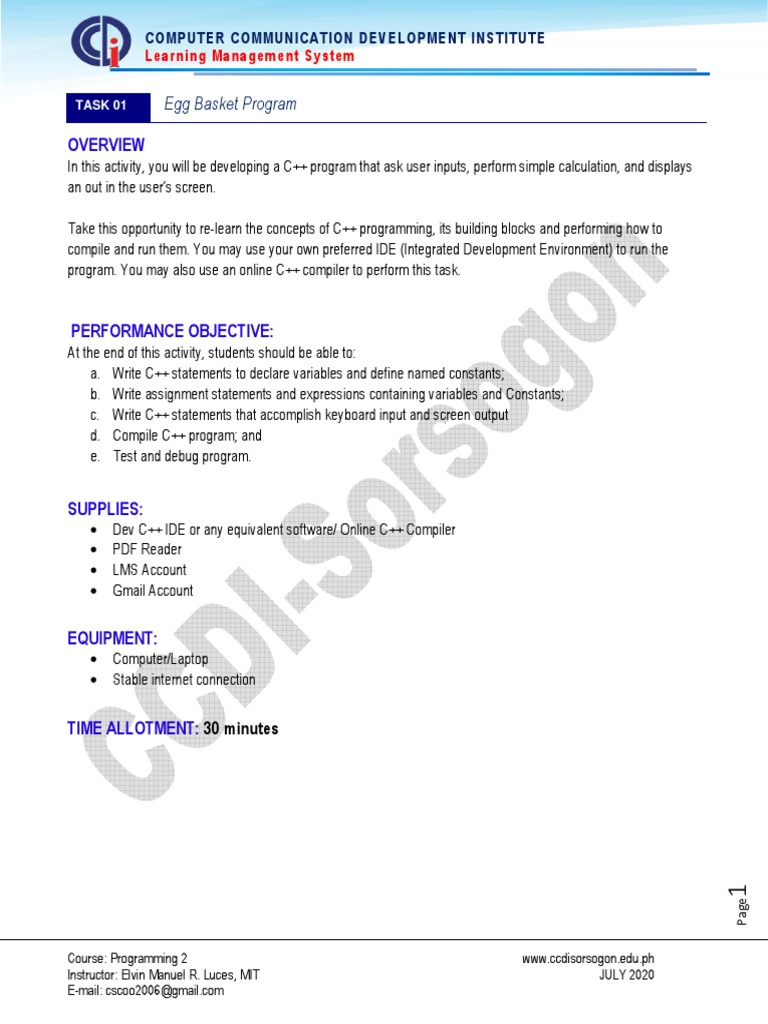 TASK 01 - Egg Basket Program | PDF